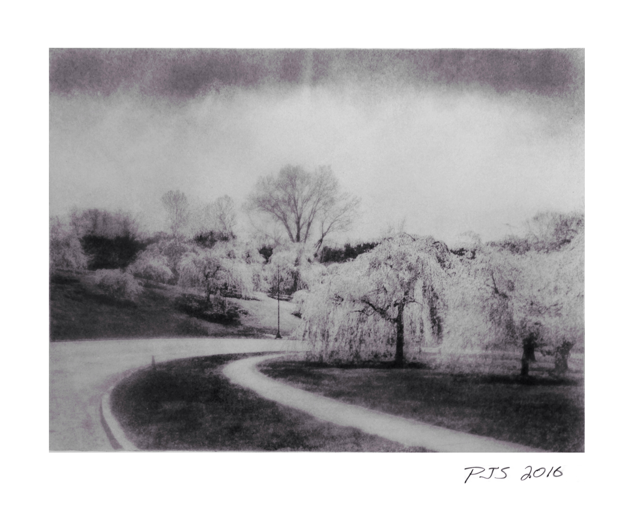 into-the-park – Bromoil Prints by PJ Sturdevant